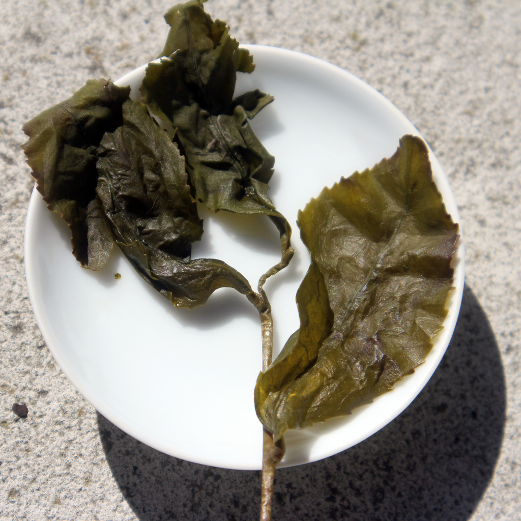 Alishan Jin Xuan (Milky) High Mountain Oolong - Tea is Enough