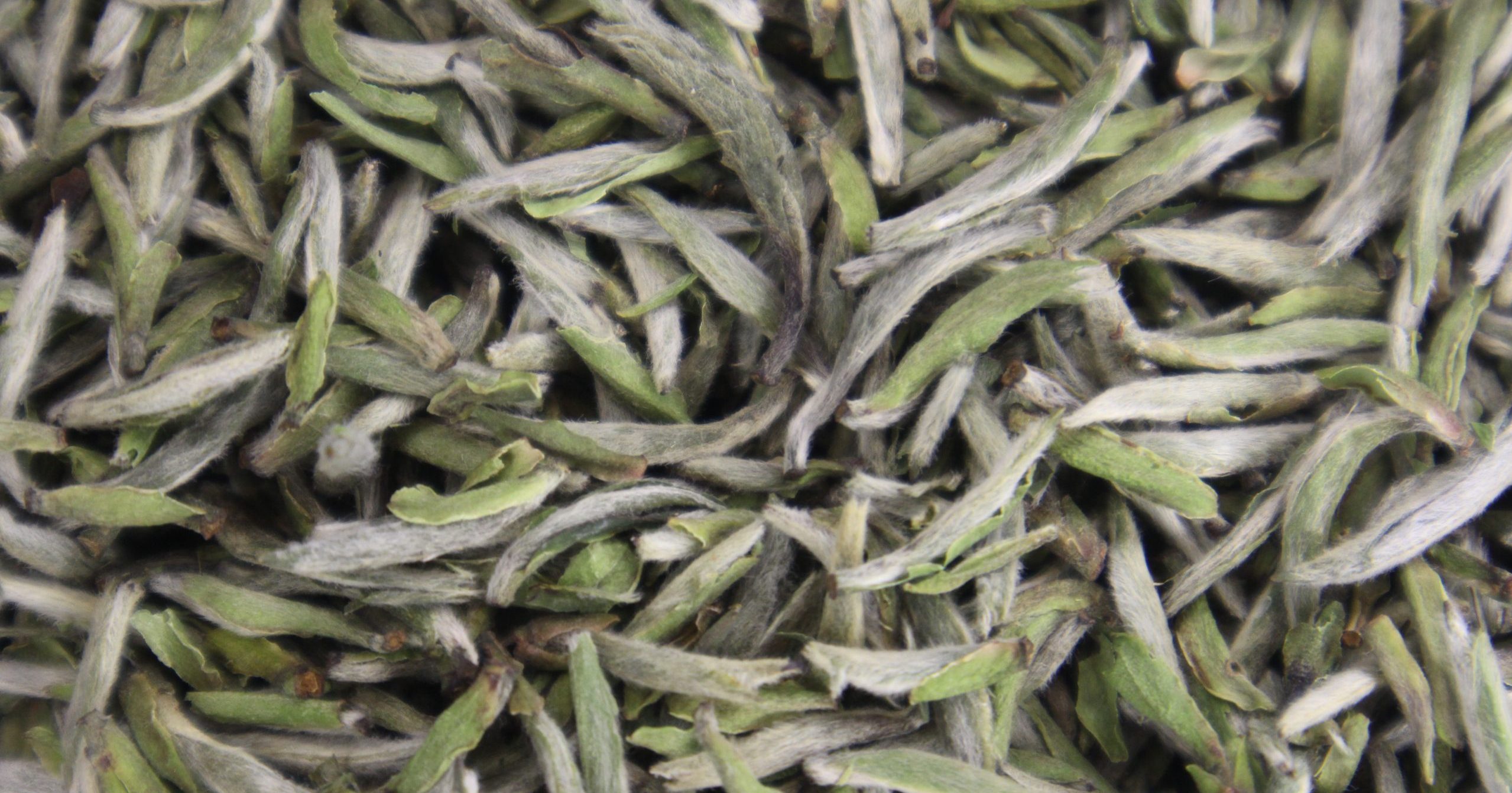 About - Tea is Enough